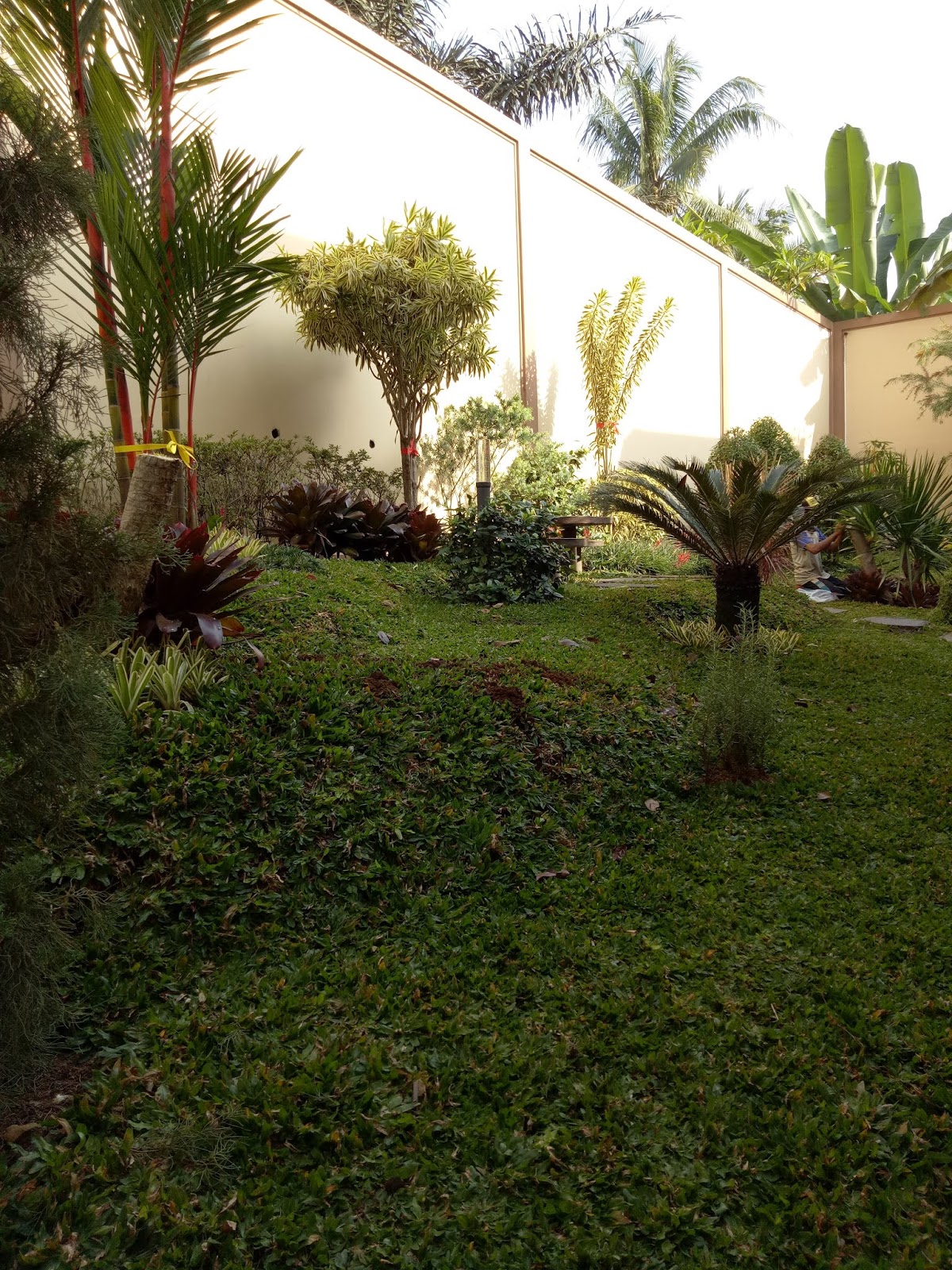 Gambar taman ~ SINOX NURSERY