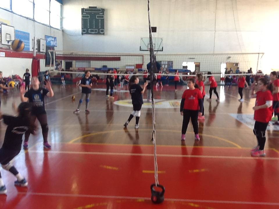 drapetsonavolley: ΦΩΤΟΓΡΑΦΙΕΣ ΑΠΟ ΤΟ ΣΗΜΕΡΙΝΟ ΤΟΥΡΝΟΥΑ ΜΙΝΙ ΒΟΛΕΙ ...
