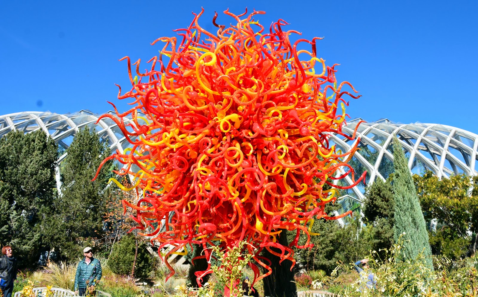 Mille Fiori Favoriti: Chihuly Exhibit at the Denver Botanic Garden