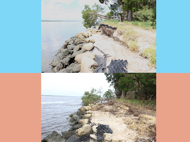 How to be a Heritage Monitoring Scout: Part 1 - Why monitor ...