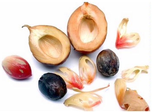 Rempah Asli Nusantara: Pala (Myristica fragrans)