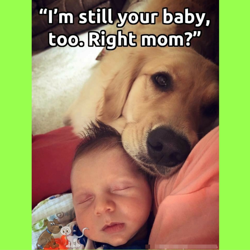 And will always be my dear ???? - Viral BuzzFeed