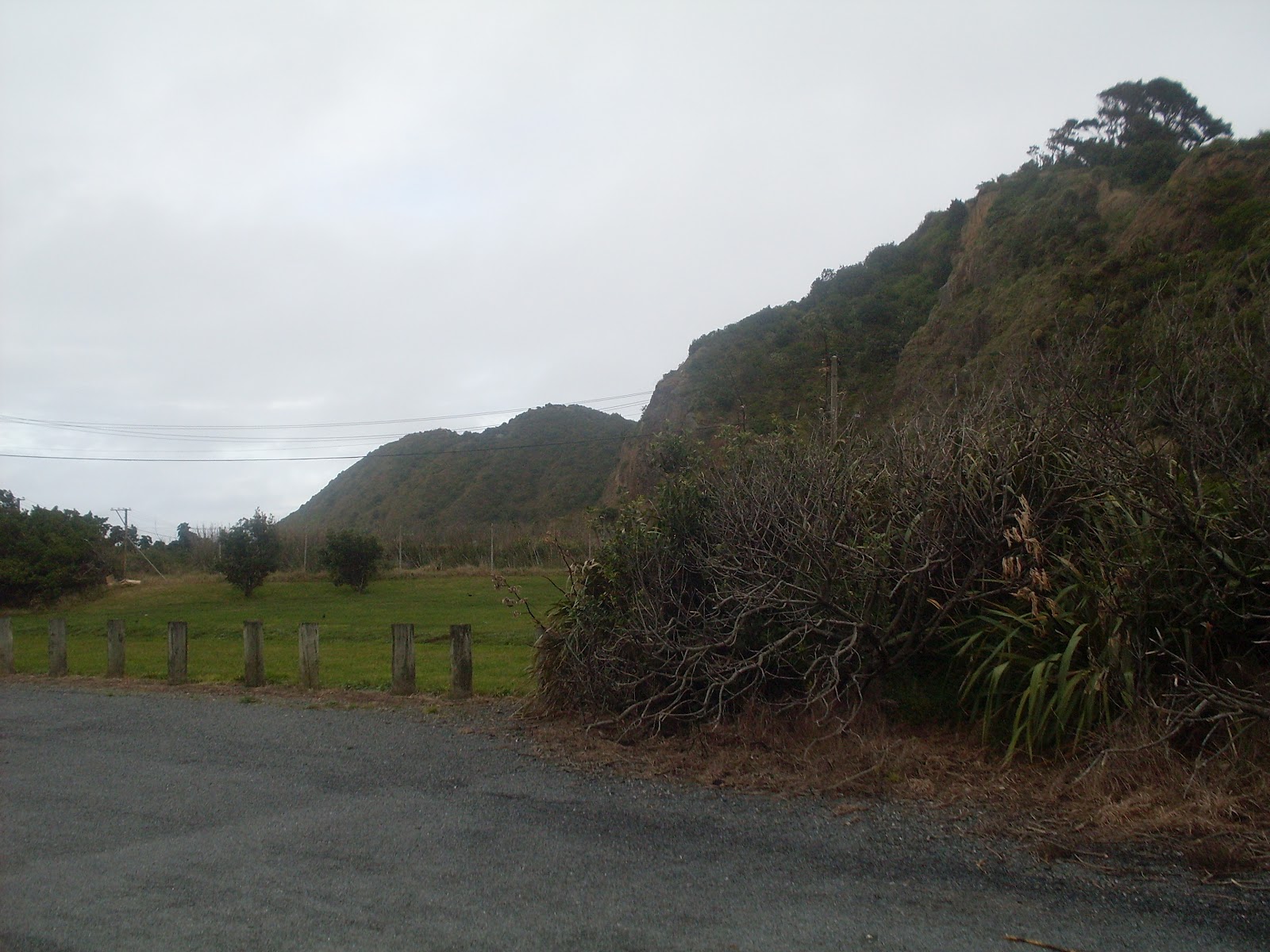 Ruth's blog: Day 30 - Thursday 5th July - Wellington AKA Wellywood