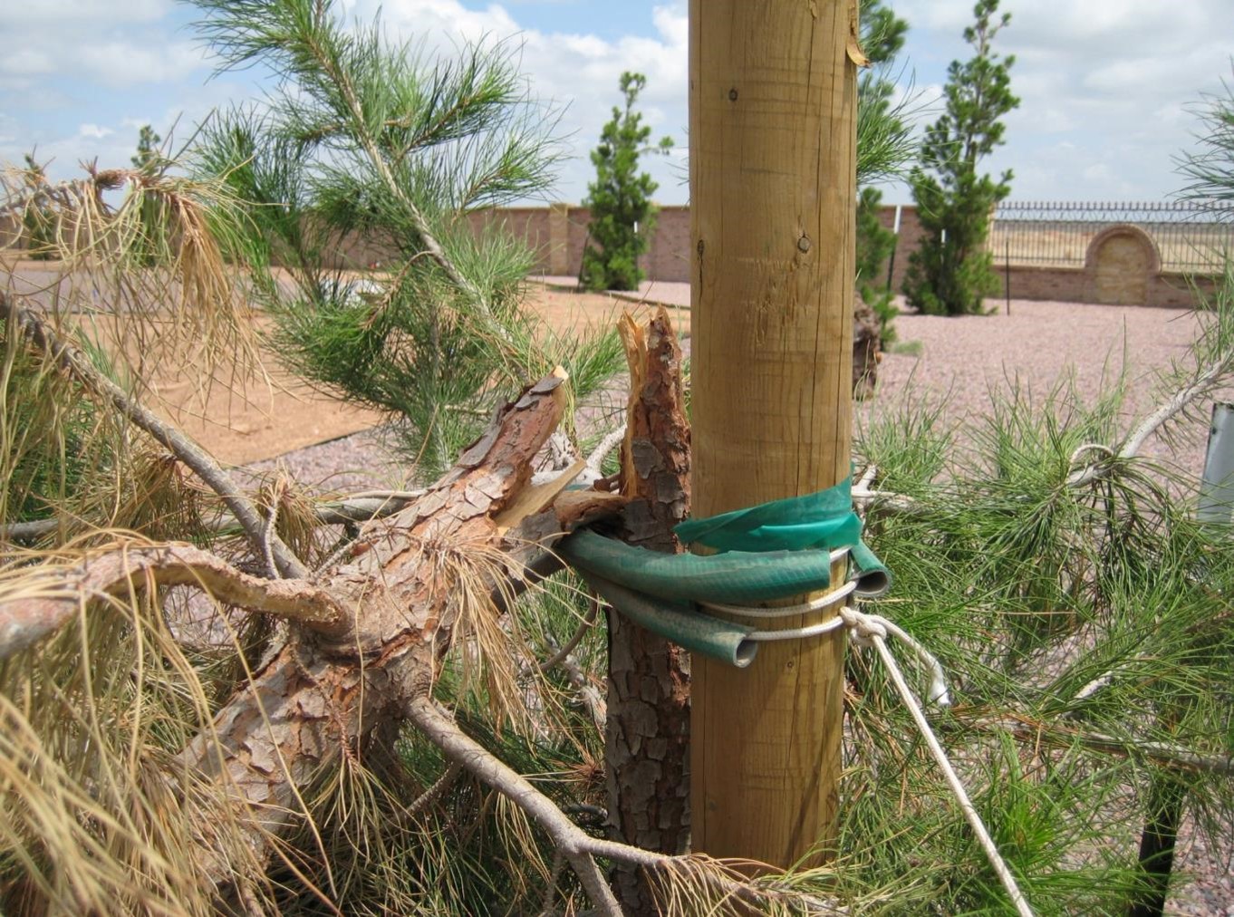 Mis-staking with Good Intentions