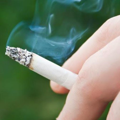 Analisis Nikotin dalam Asap dan Filter Rokok | Jurnal Kimia