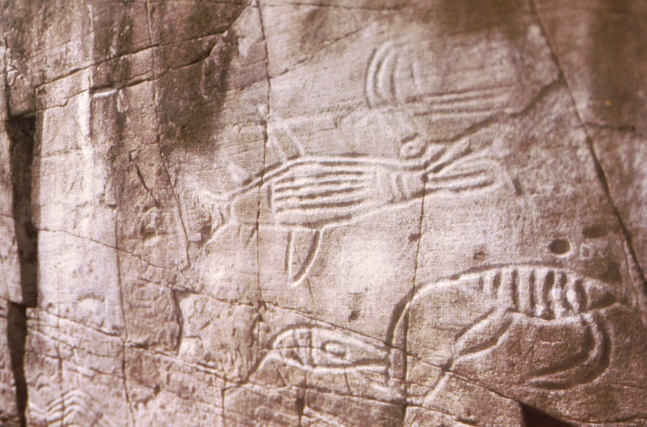 Rock Art Blog: NATIVE AMERICAN ASTRONOMY – THE CONSTELLATION GONAKADET ...