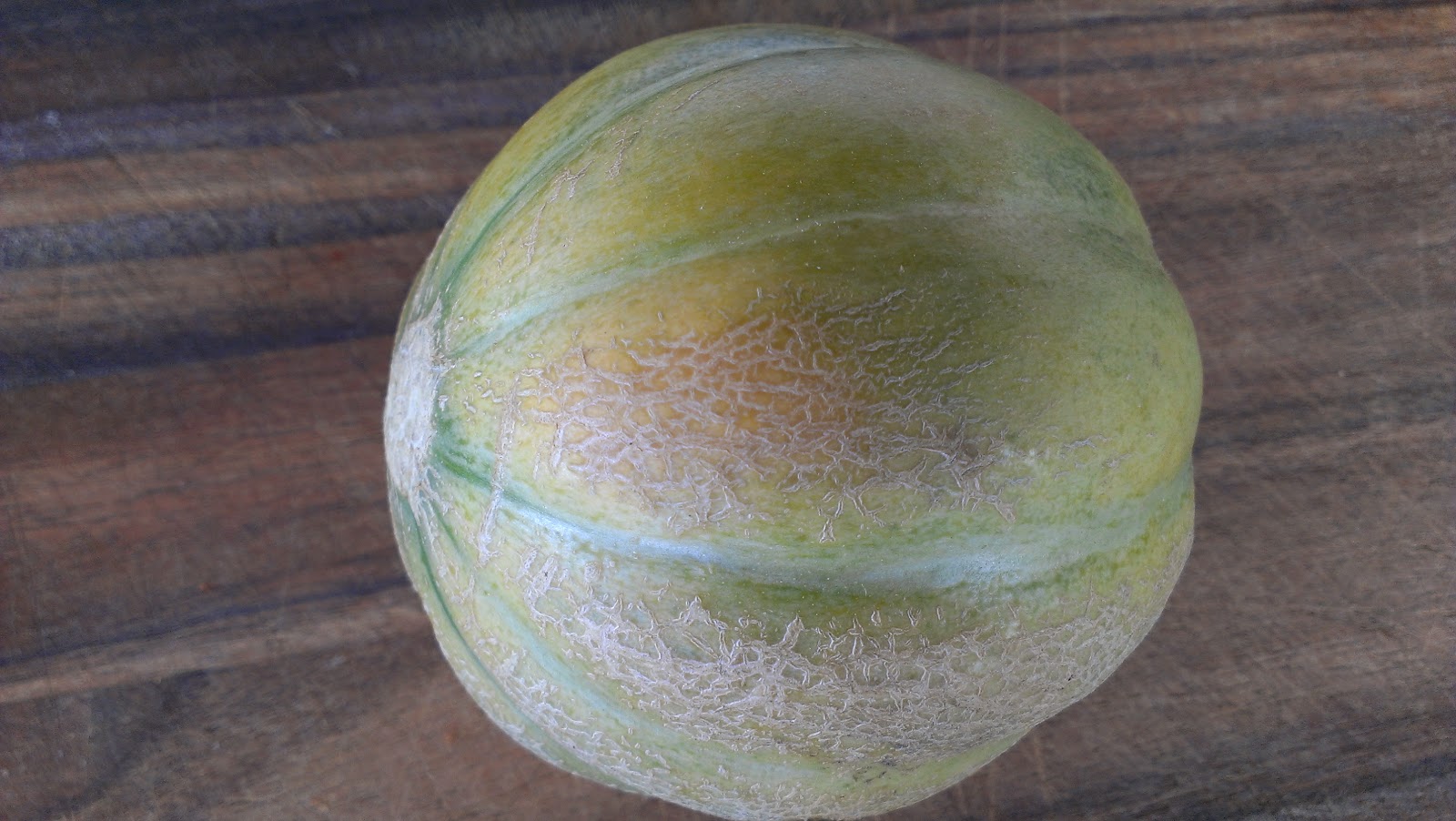 Glut: a year in my patch: A lovely pair of melons