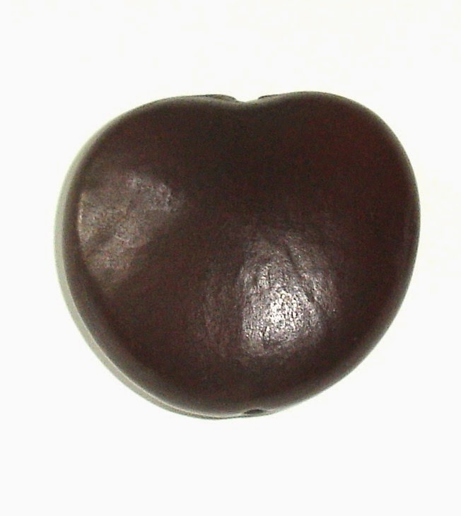 Floristería La Primavera : Congolo o Samo