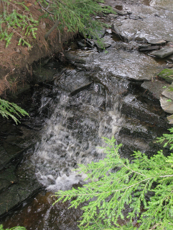 The Maas Update: Whetstone Gulf Hike