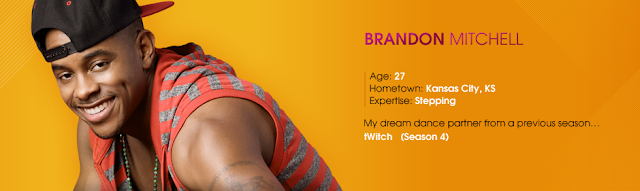 Paint Brushes And Ballet Shoes