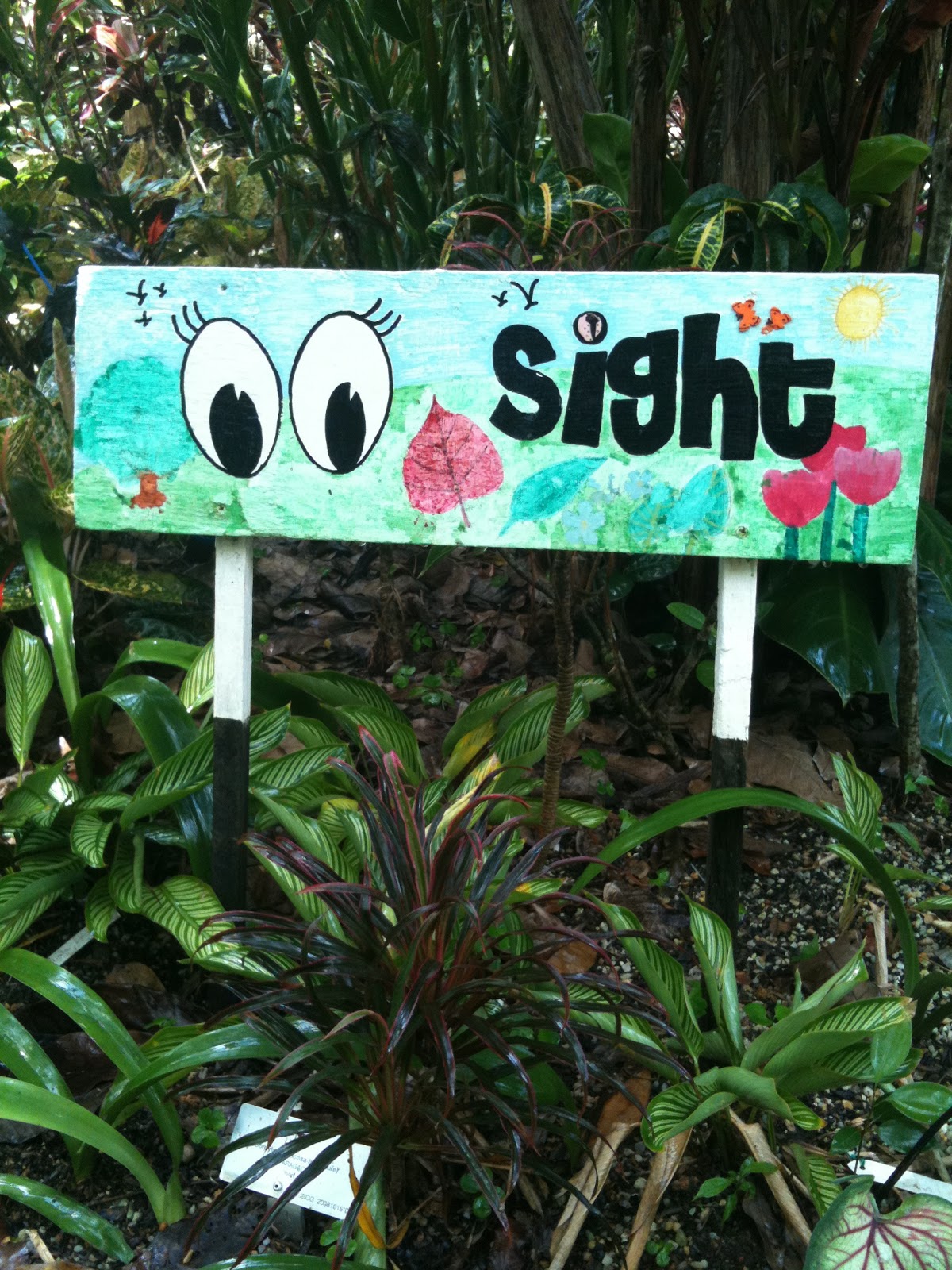 Hendrik's Blog: Jacob Ballas Children’s Garden