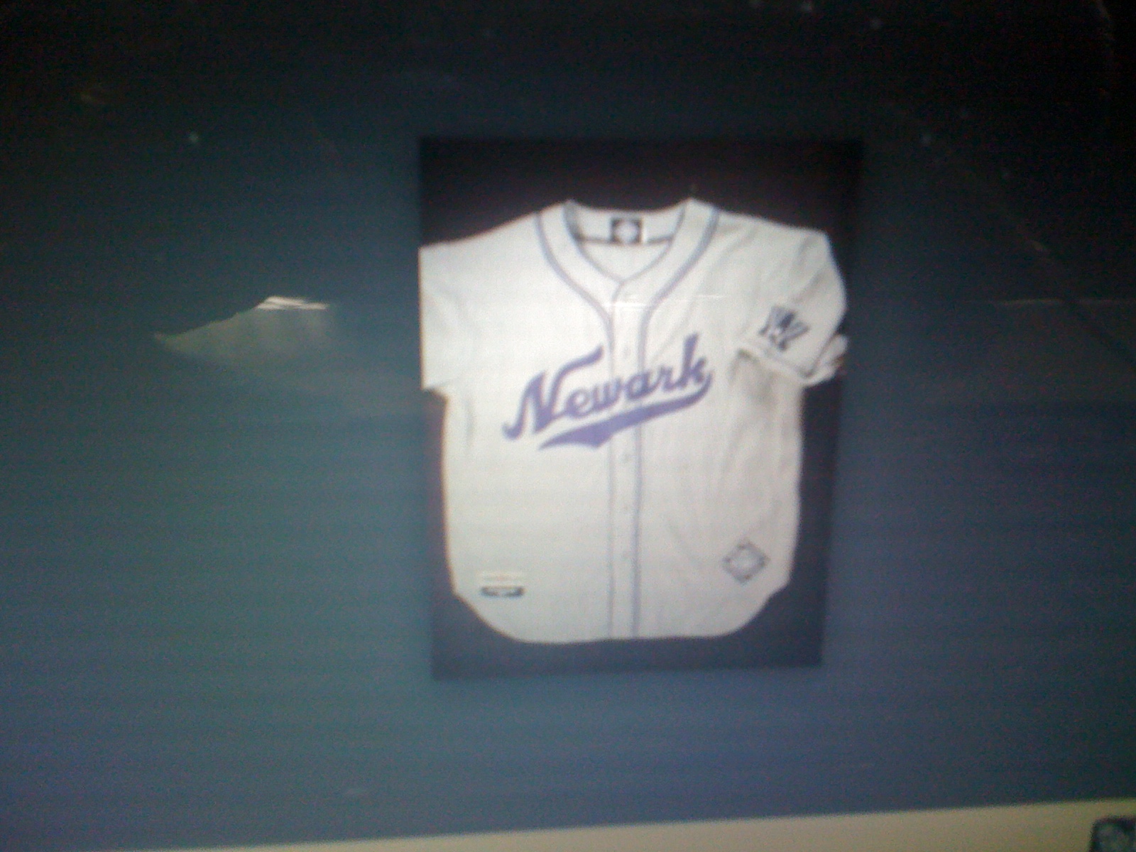 THE BLACK SOCIAL HISTORY:: BLACK SOCIAL HISTORY : THE NEWARK BEARS ARE ...