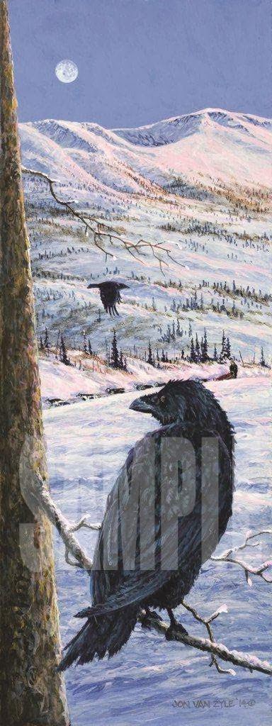 North Wapiti Blog: A Few More Odds and Ends and Some Really Odd - Bet