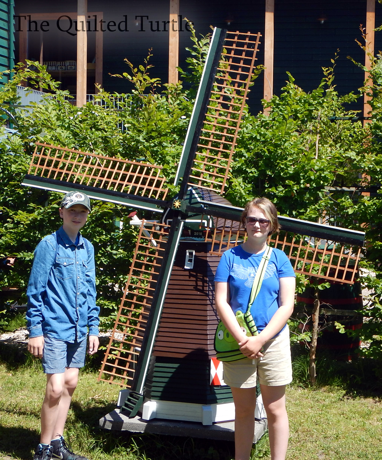 The Quilted Turtle: Molen van Sloten (Sloten Windmill)