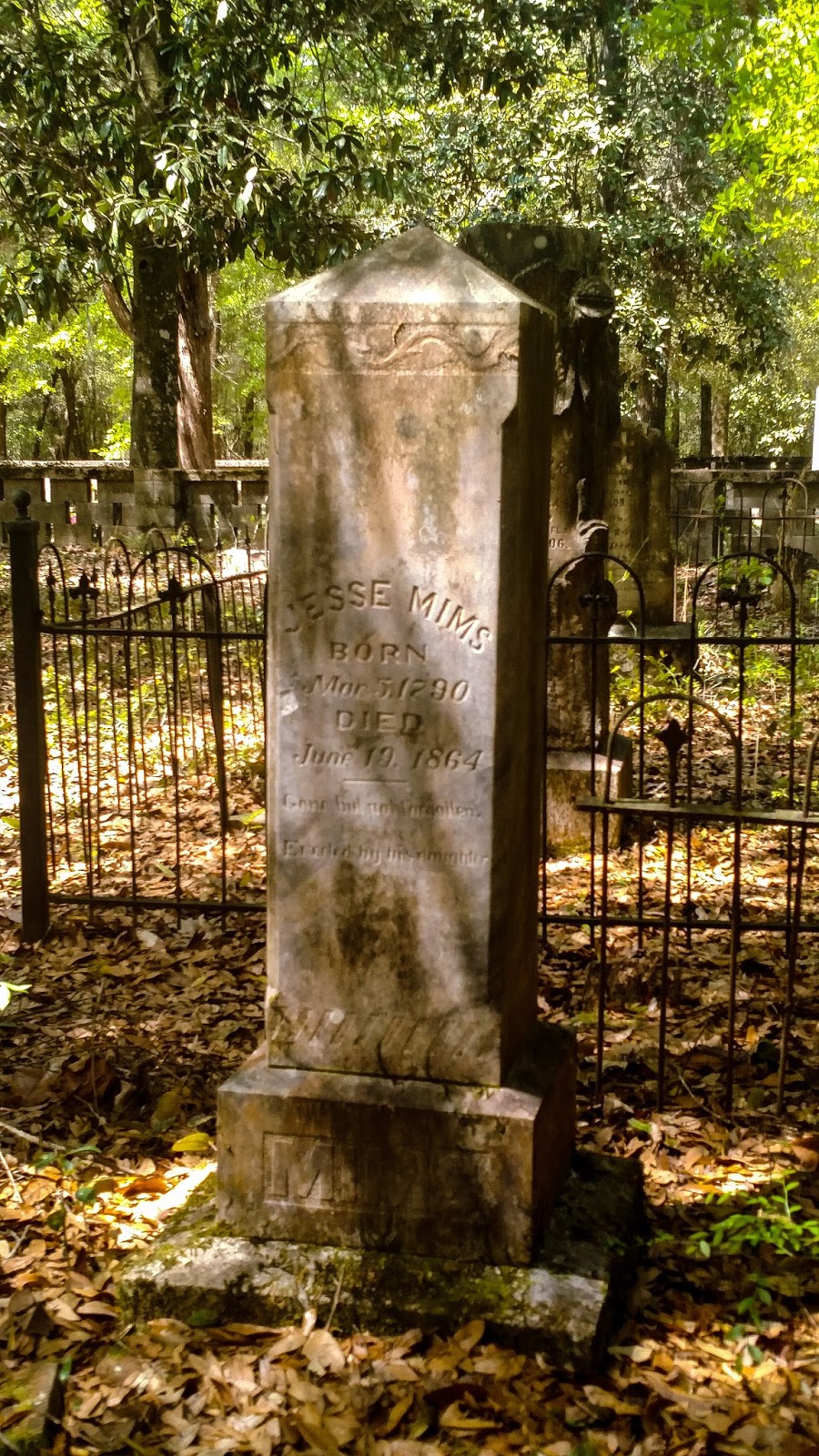 A visit to an old family cemetery...