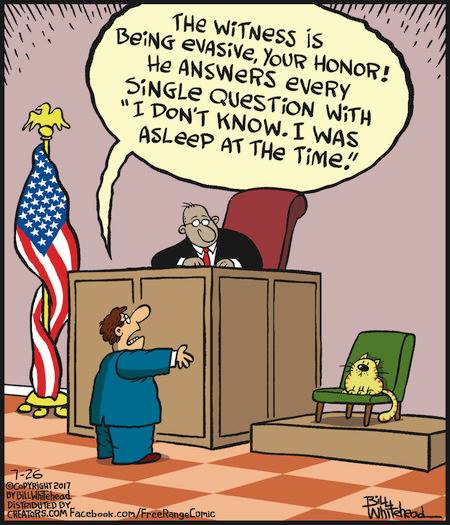 Mystery Fanfare: Cartoon of the Day: The Witness