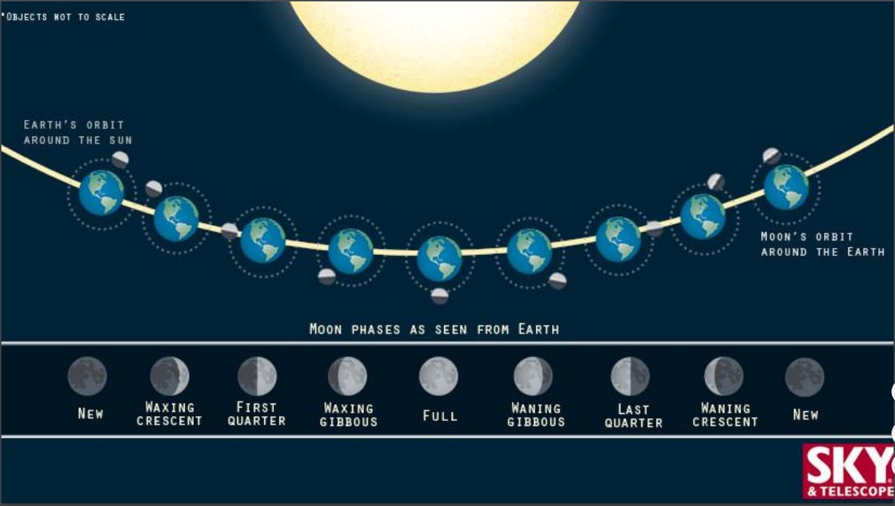 Why the Moon has different phases?