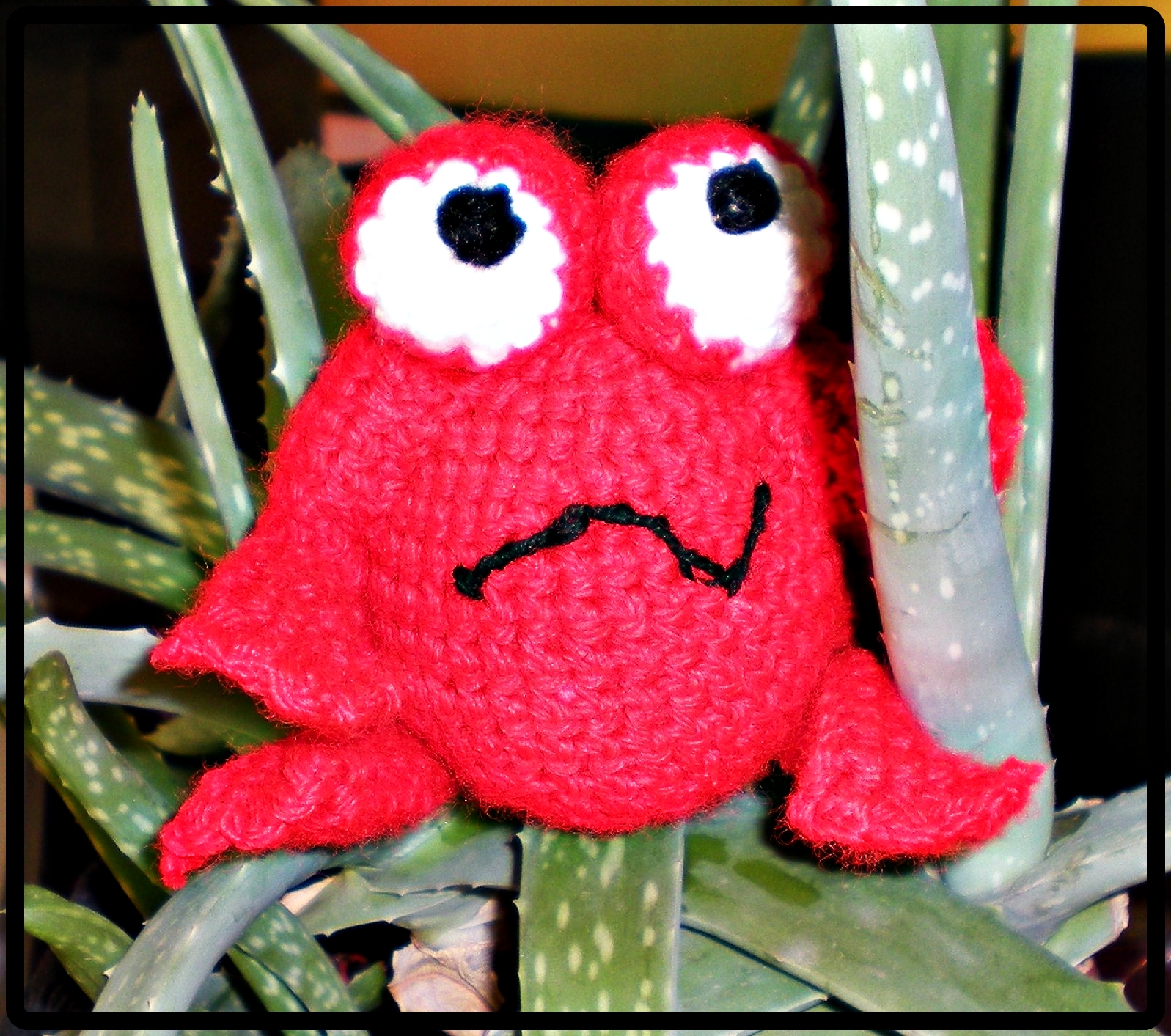 Sarita Lunares: sapo rojo...