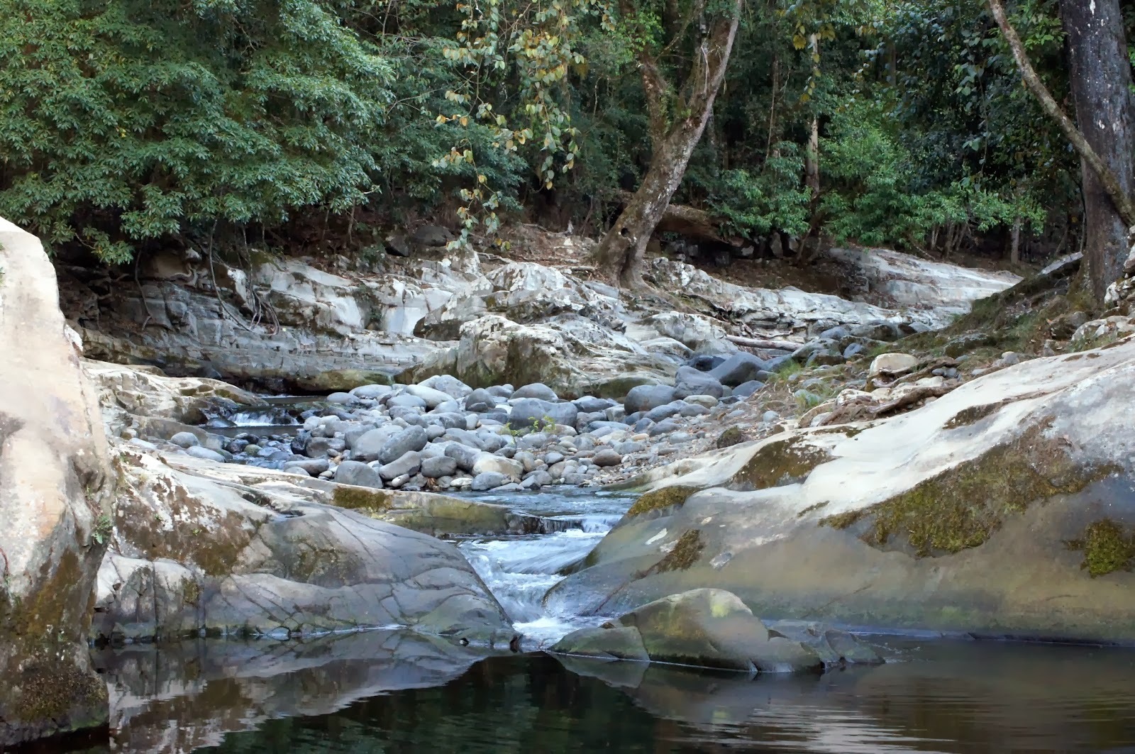 A Dream House for Trish: Wordless Wednesday-Camping Trip