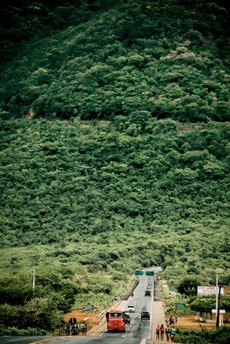 .TIANGUÁ EM FOCO: DIA 19 DE AGOSTO É O DIA DA FOTOGRAFIA (veja algumas ...