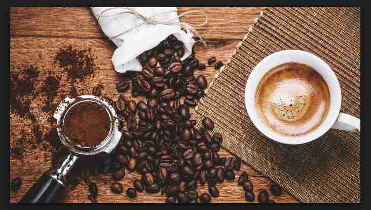 Varietas Unggul Kopi Arabika