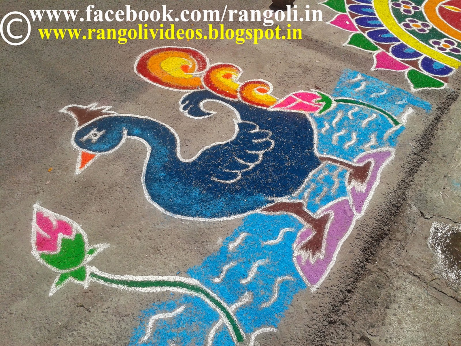 Diwali Rangoli , Kolam , Designs Images: Peacock Rangoli Designs