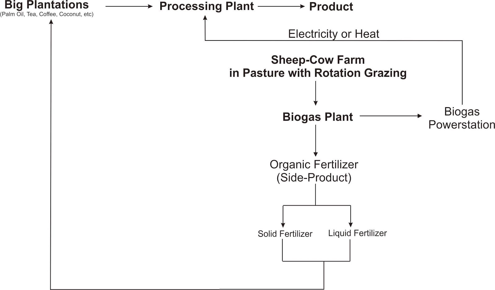 Biomass Industrial Innovative Projects: Large Plantations and Large Farms