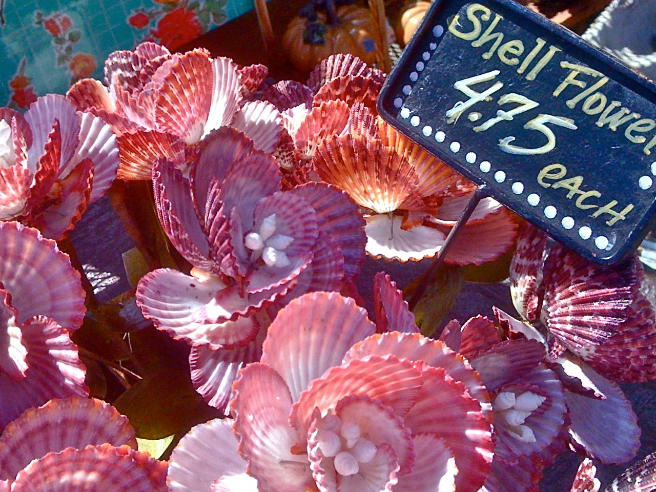 She Sells SeaSHELL FLOWERS by the Seashore