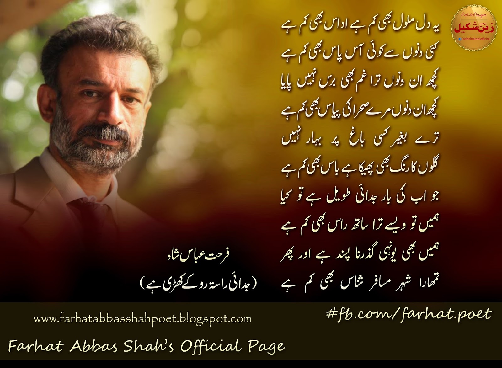 2016 | Farhat Abbas Shah Poet/Writer