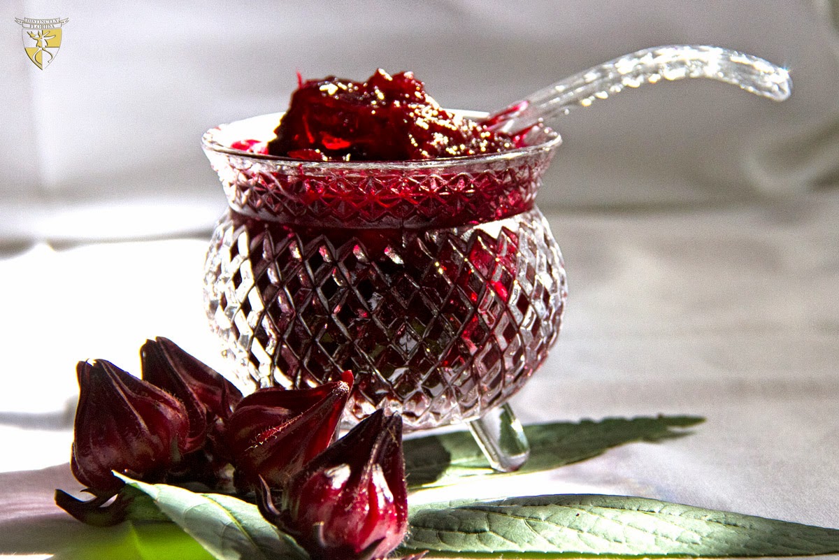 Distinctly Florida: Florida Cranberries, aka Jamaican Sorrel or Roselle