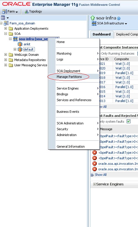 Learning SOA: How to create partition in soa suite 11g.