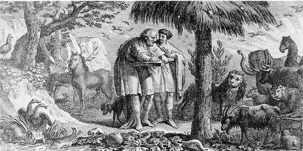 Bees Throughout The Ages: Bees in Ancient Greece and Rome – DrBeekeeper