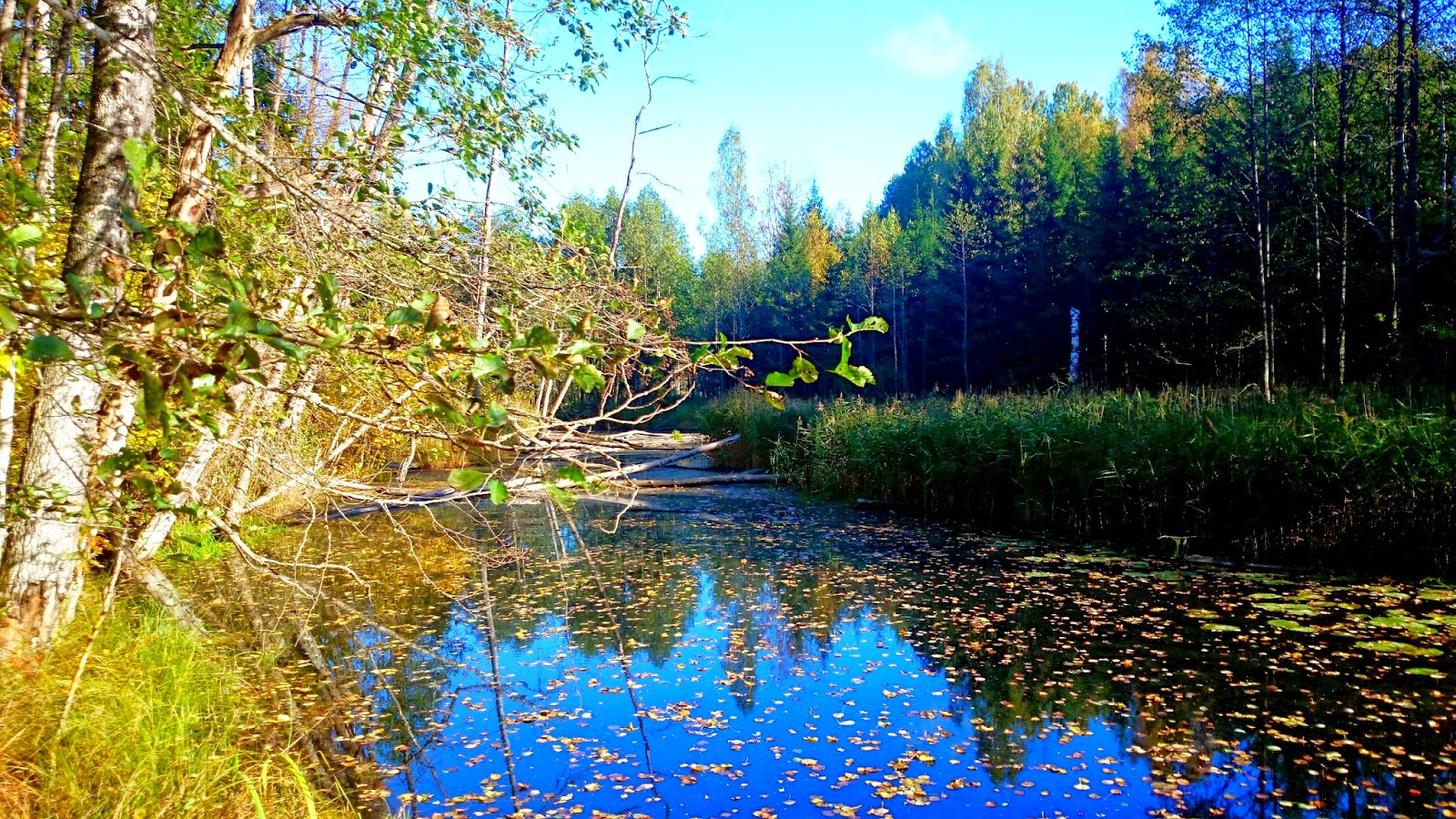 Pärnu Pictures: Soomaa National Park