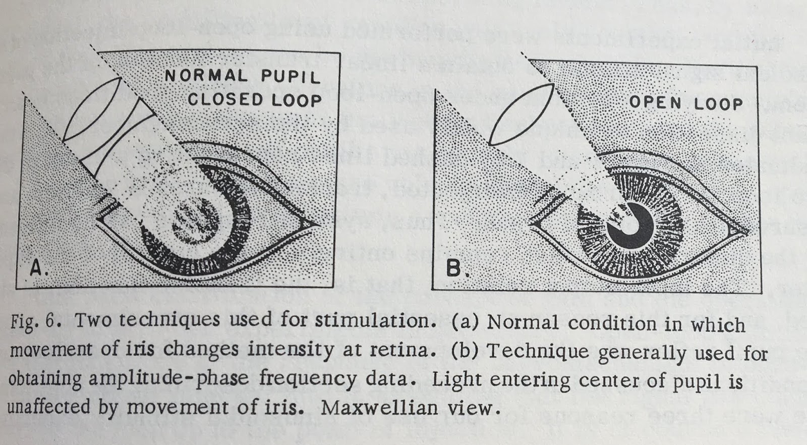 Intermediate Physics for Medicine and Biology: Neurological Control Systems