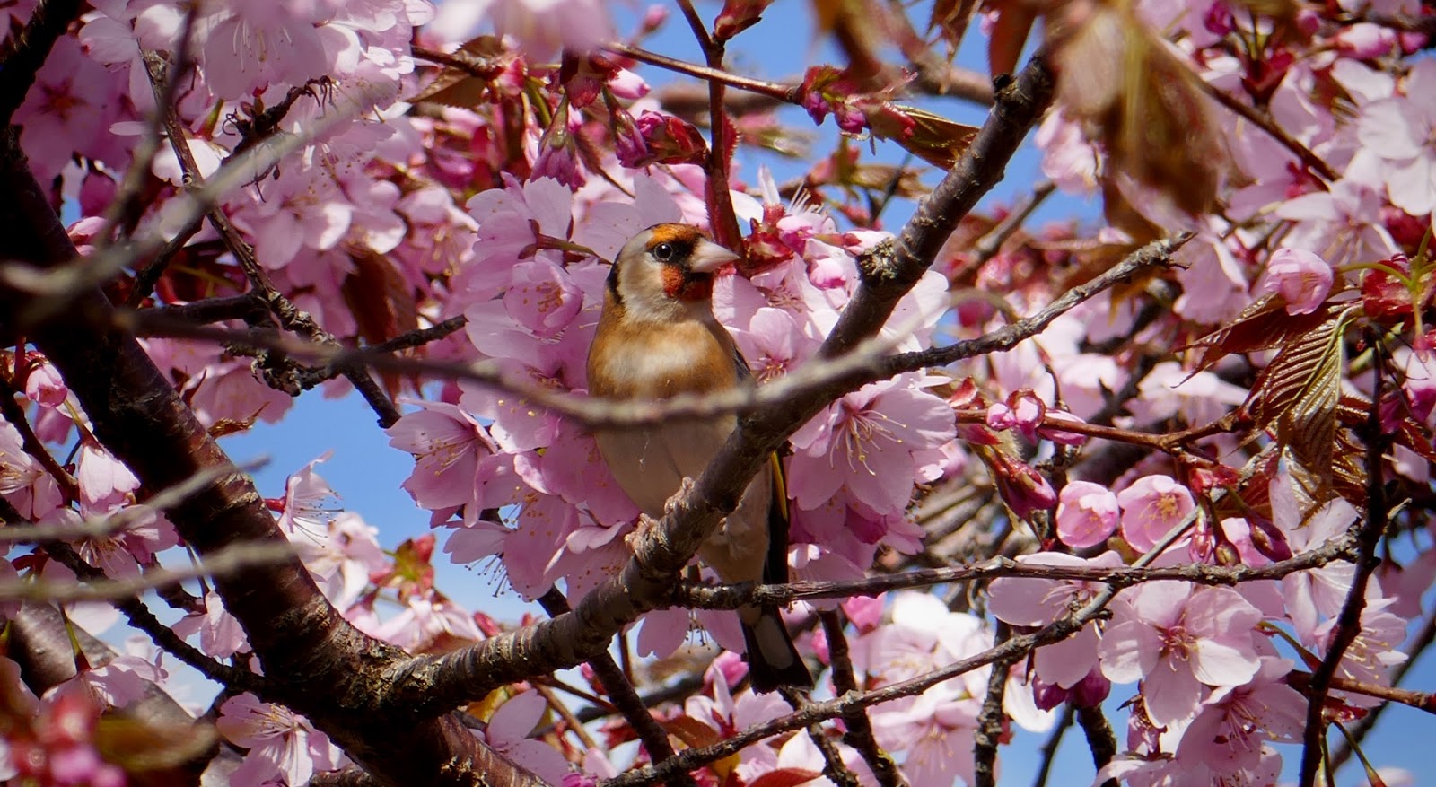 best part of the day: bad nature