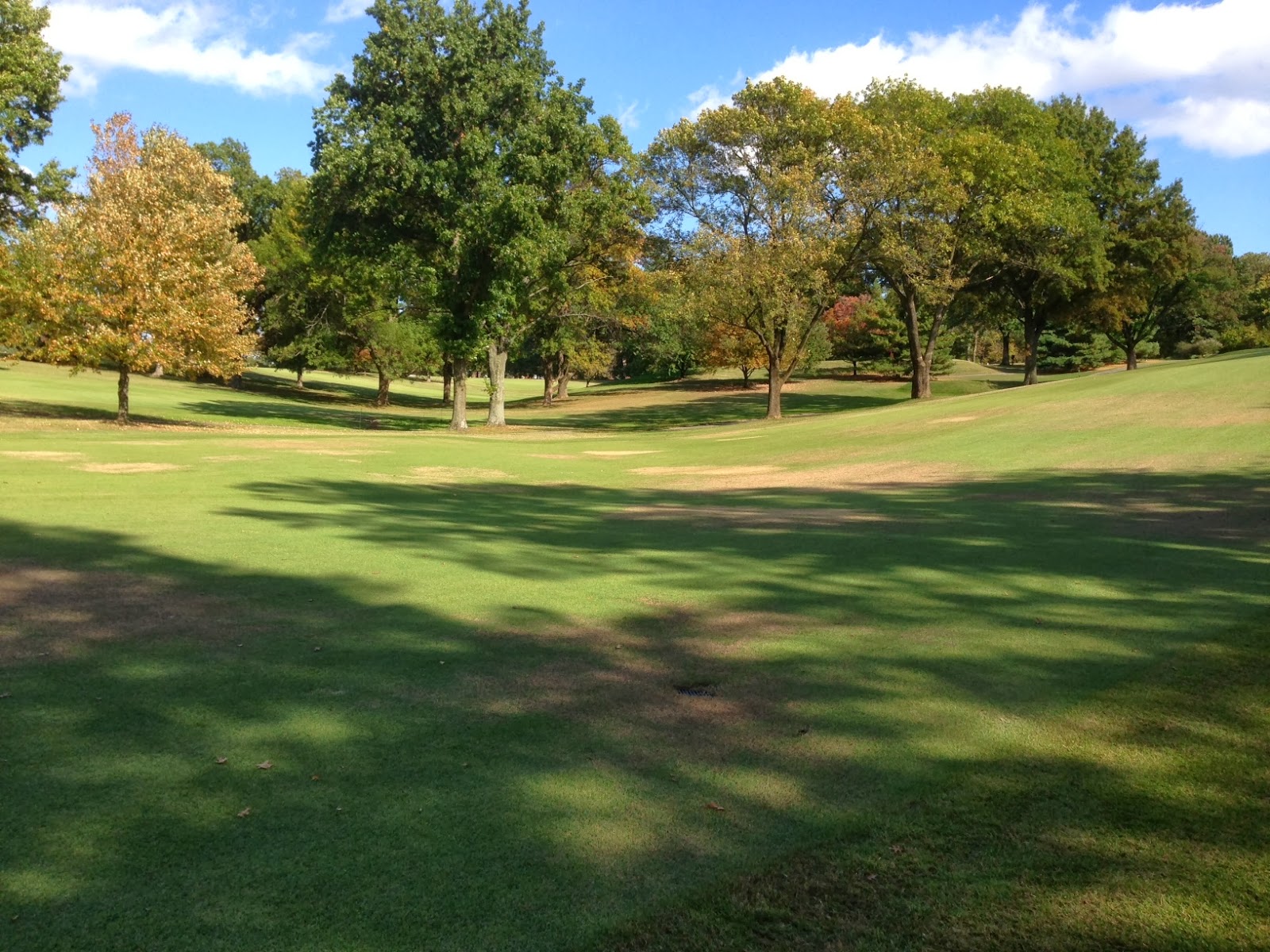 Glen Echo Country Club Golf Course Management: Fairway Bermuda Eradication