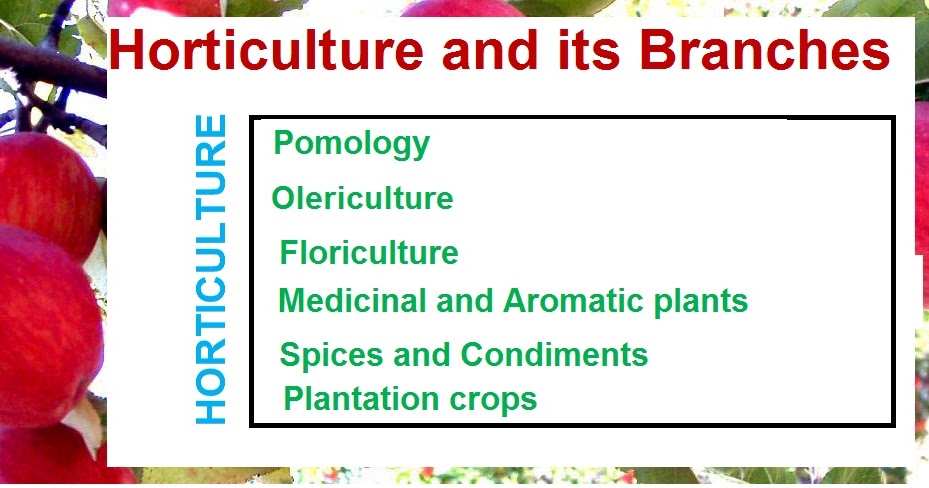Horticulture And Its Branches - Agriculture2u.com by Subhrajyoti's ...