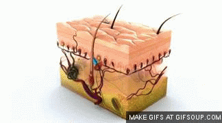 Las sesiones de San Blas: Lesiones Eritemato Descamativas, y su manejo