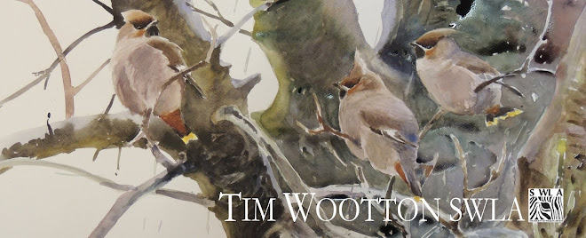Tim Wootton Wildlife Art