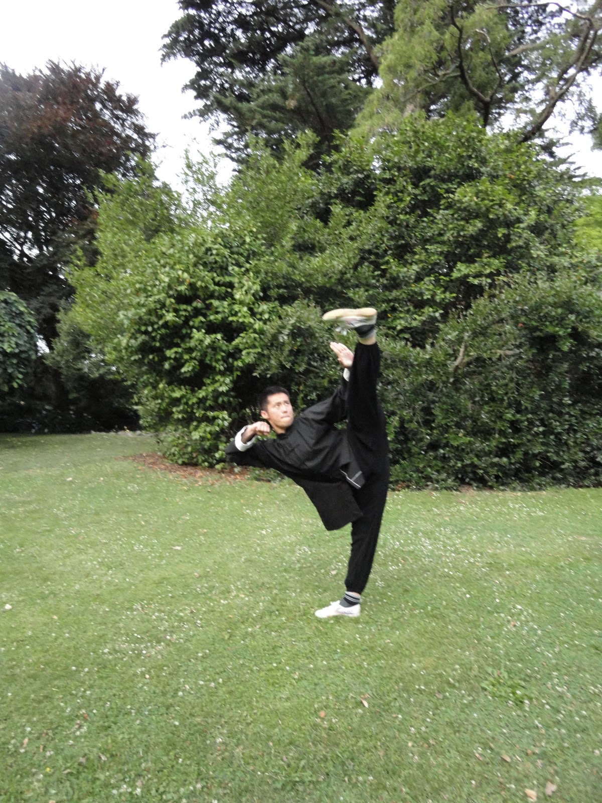 Master Song Shaolin Kung Fu Wushu-Martial Arts 宋師傅少林功夫武術 www.facebook ...