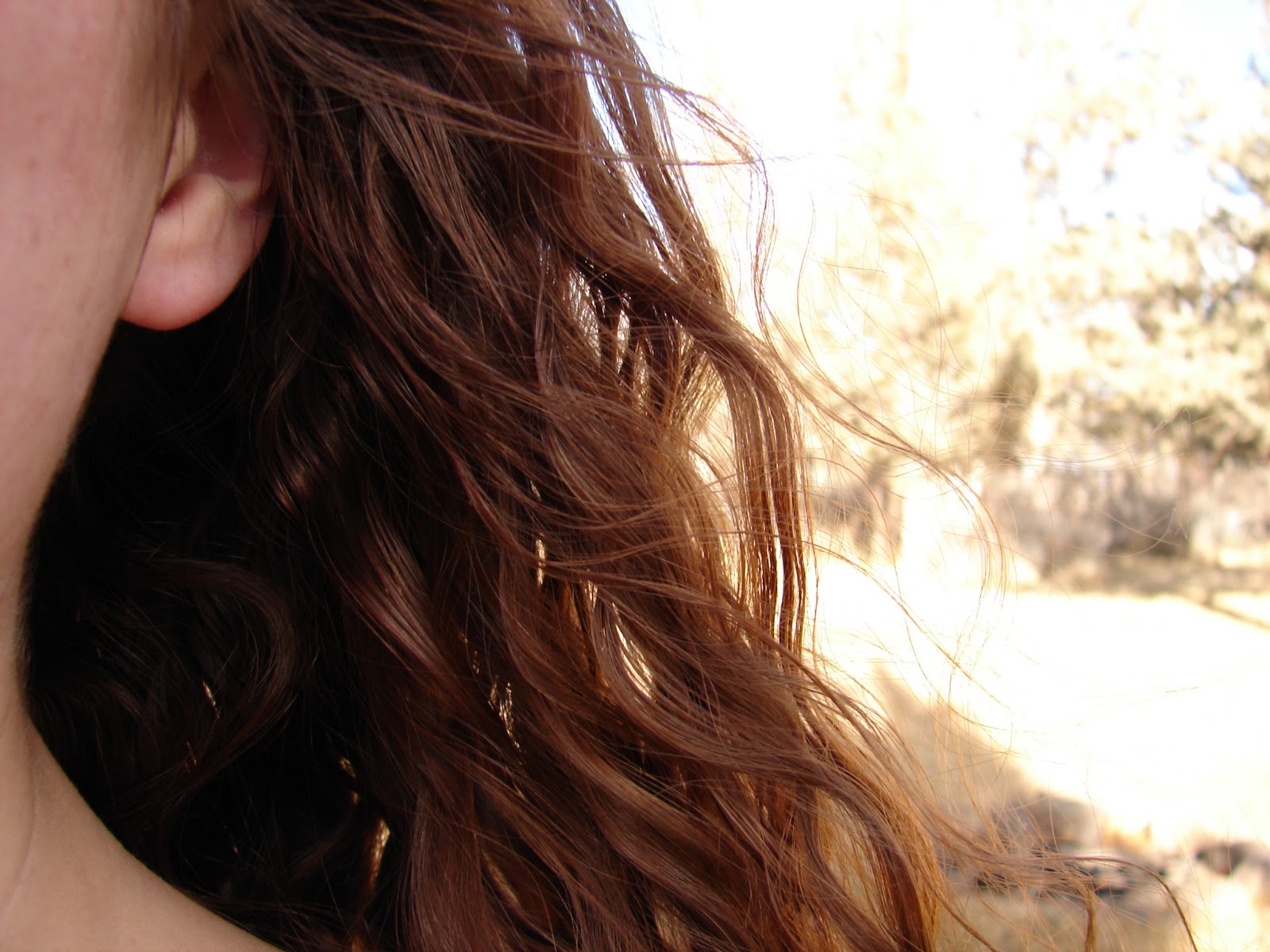 The Three Spinsters {part the first}: flaming red hair