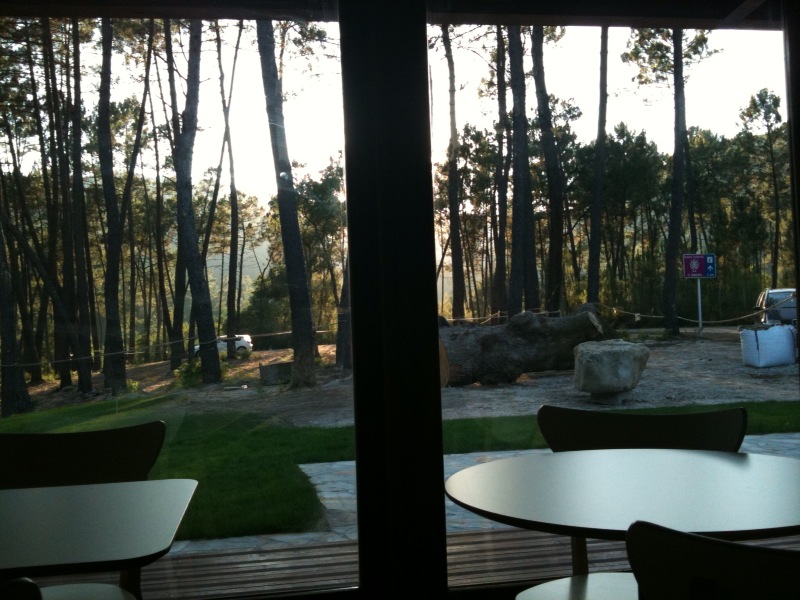 Turismo Enxebre: Termas de Prexigueiro (Ribadavia)