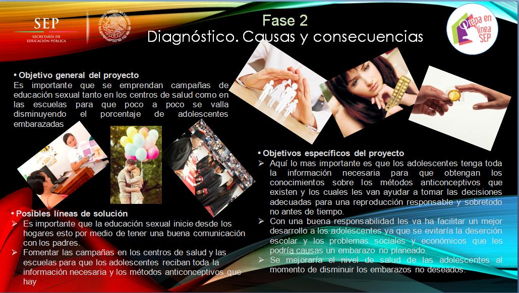 Fase 2: Diagnóstico. Causas y Consecuencias