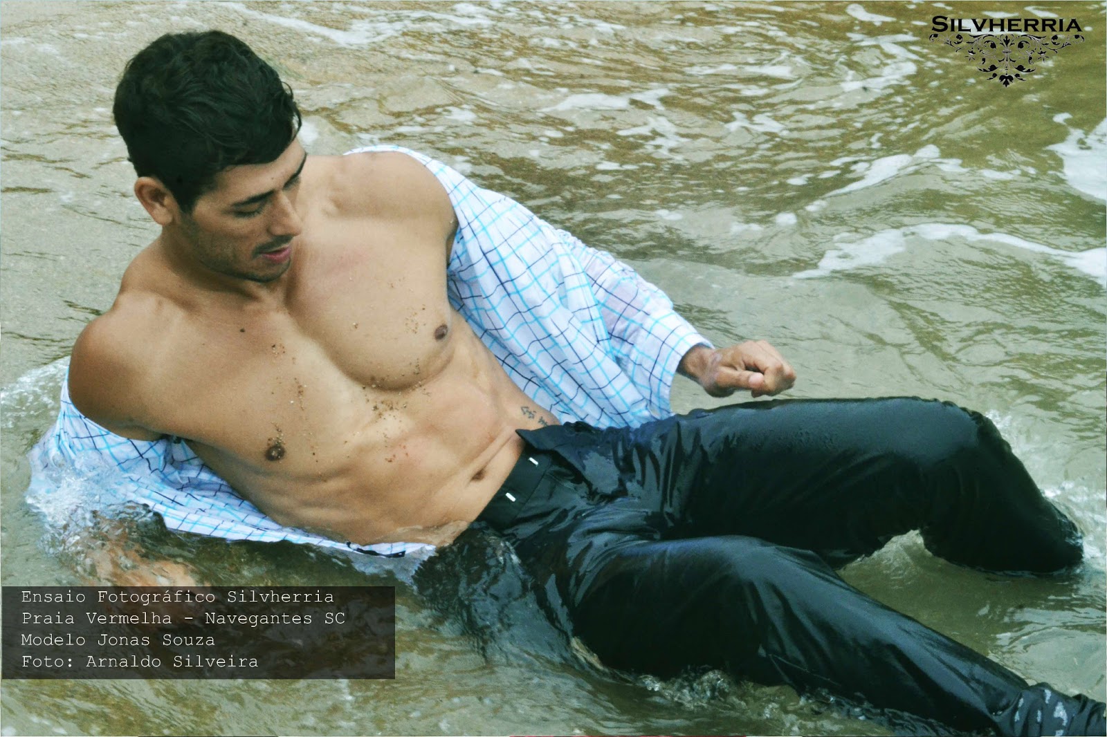 DEVISTA: janeiro 2013