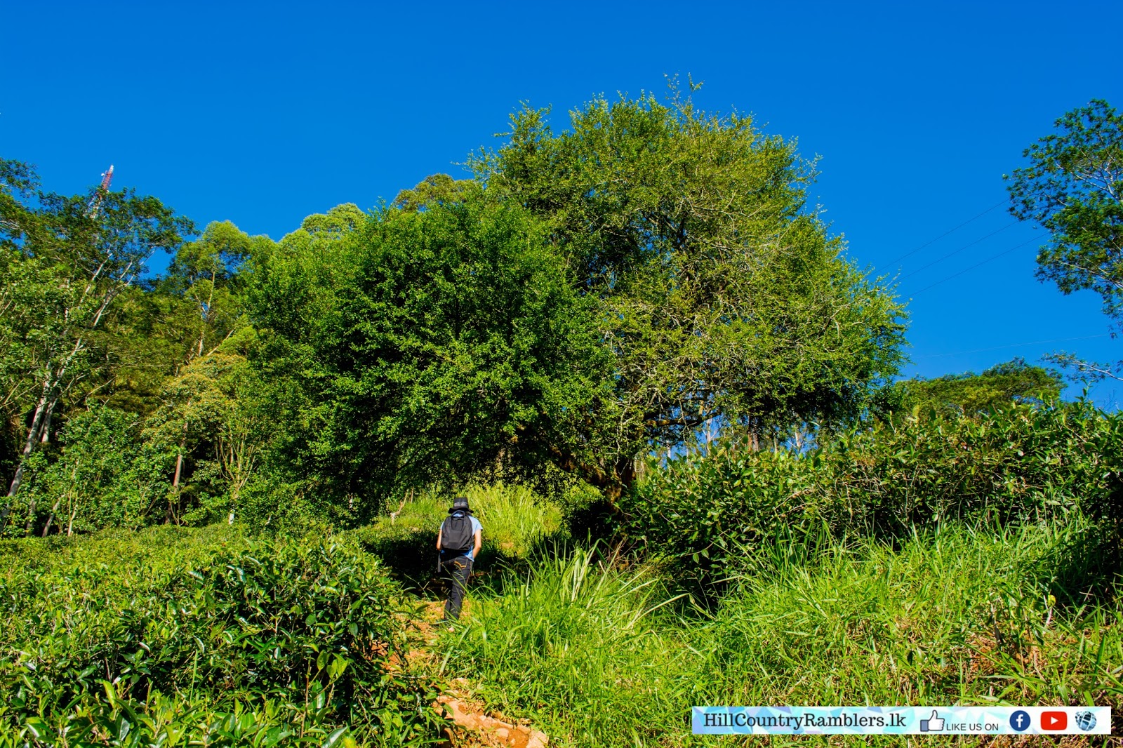 HANTHANA NATURE HIKE