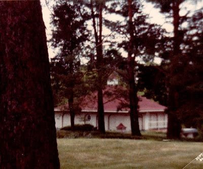 RETRO KIMMER'S BLOG: HARRY BENNETT HOUSES: NEW PHOTOS