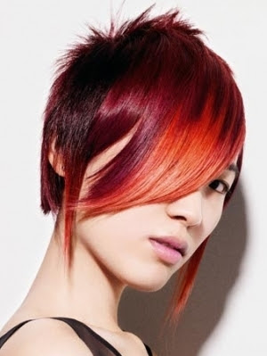 Alternative Hair Color Trends 2011 | Landrys Lifestyles Blog