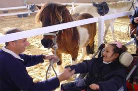No Sólo Limpiamos Mocos: HIPOTERAPIA. EL MILAGROSO TROTE DE LOS CABALLOS
