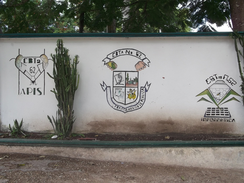 CBTA 62 Escarcega ~ Escarcega