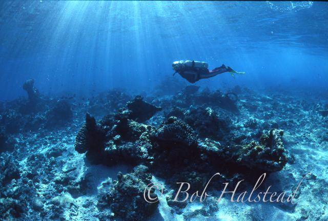 Bob Halstead, the award-winning photographer – WW2Wrecks.com